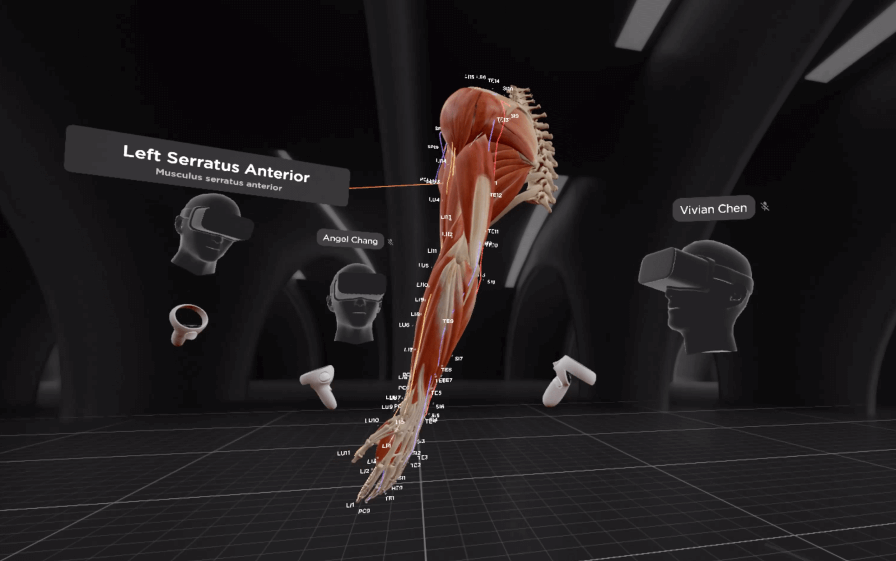 Acumap - Learn TCM and Acupuncture in Virtual Reality - MAI
