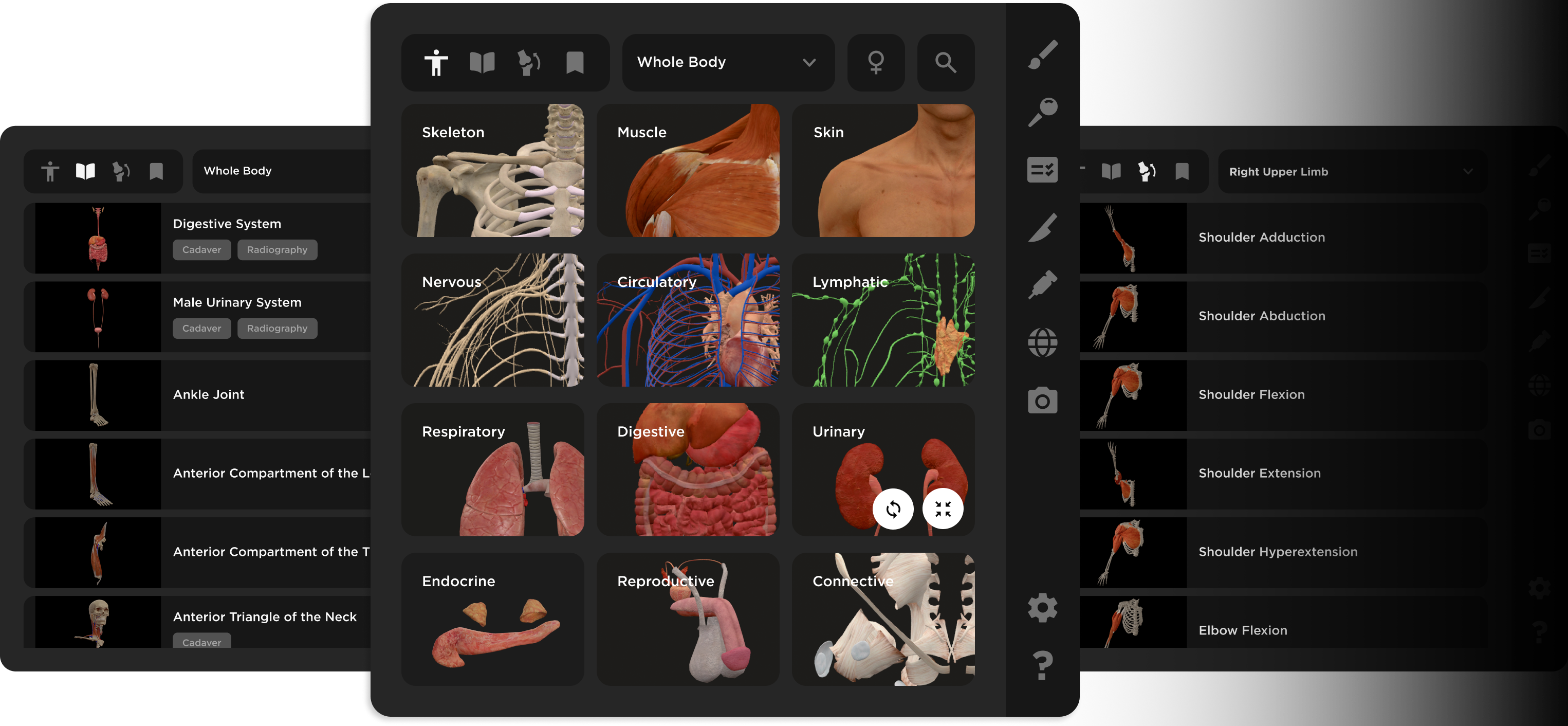 Bodymap - Learn Human Anatomy and more through Virtual Reality - MAI